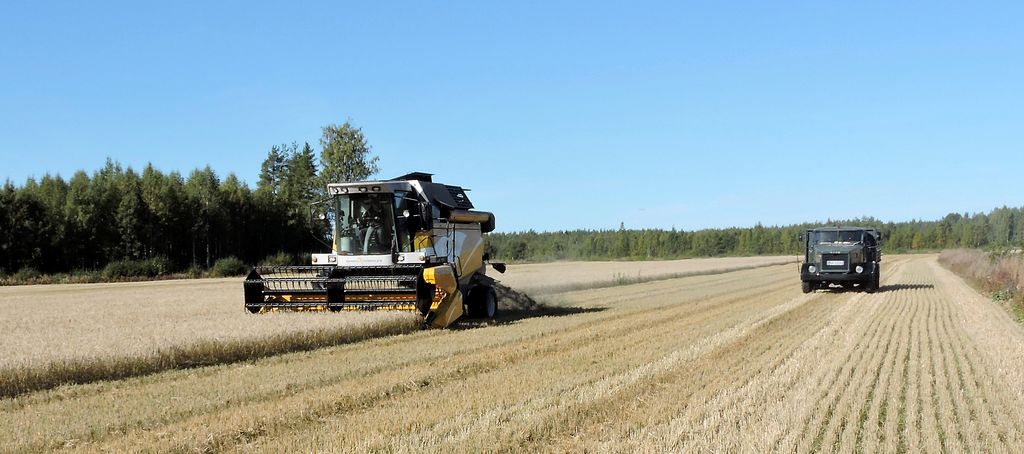 JP-Kunnallissanomat | Ennen sateita puitiin minkä vain ennätettiin